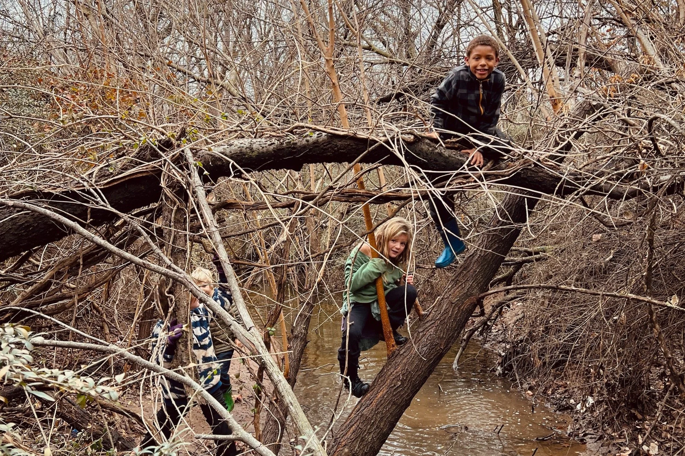 Back to Earth School