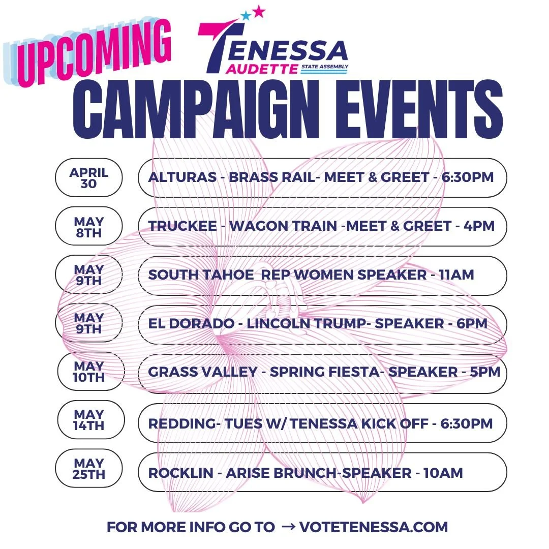 Tenessa Audette for State Assembly 2024