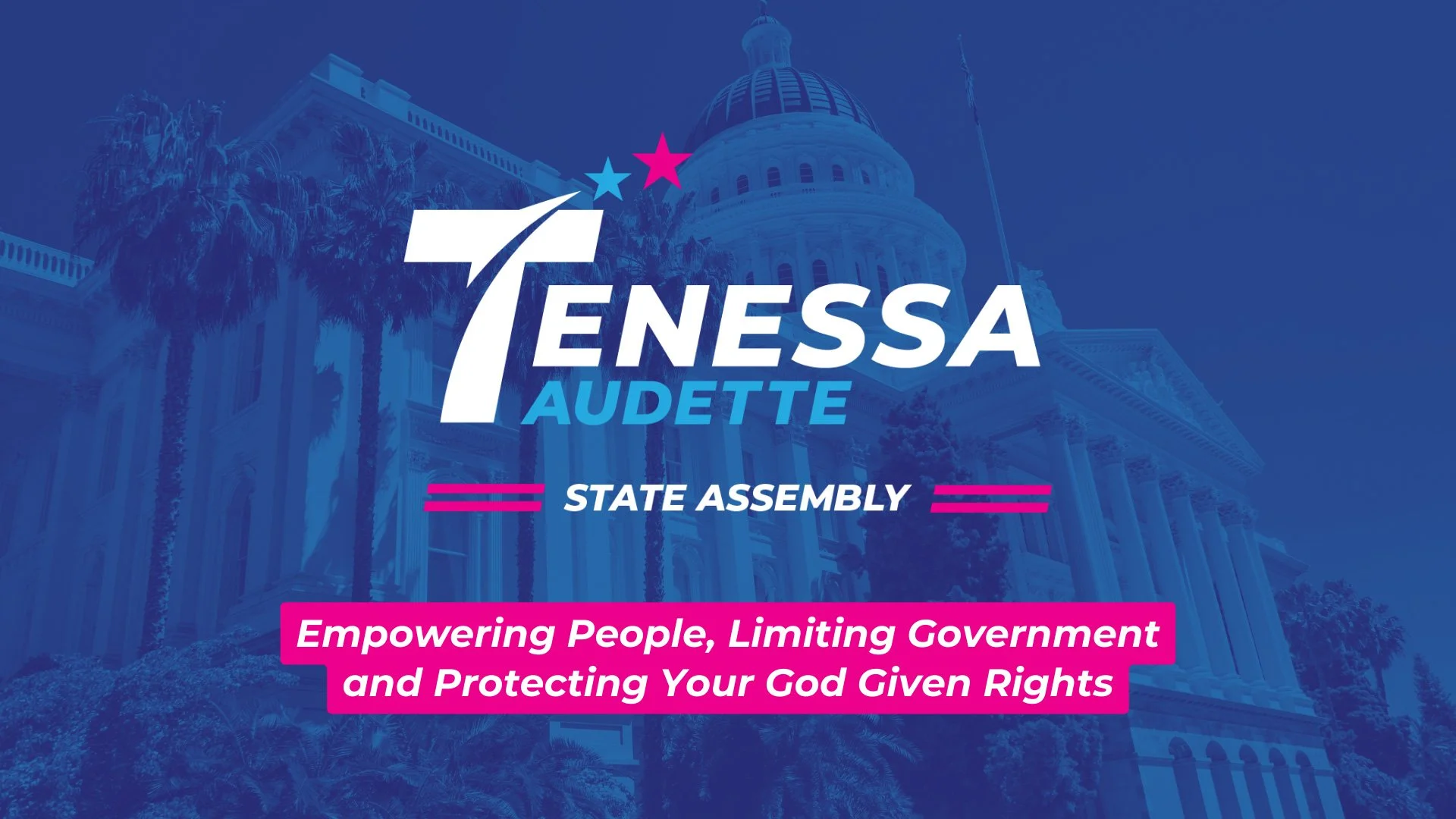 Tenessa Audette for State Assembly 2024