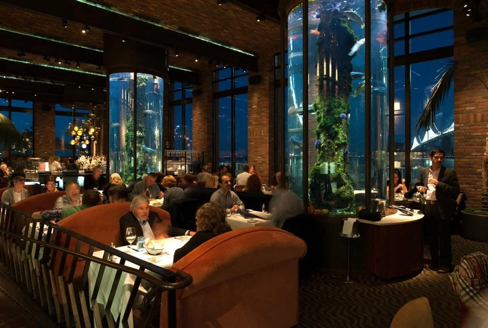 Waterbar | Discover Fine Seafood – Book Your Visit Today — SFPDV