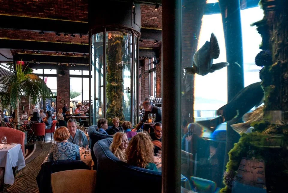 Waterbar | Discover Fine Seafood – Book Your Visit Today — SFPDV