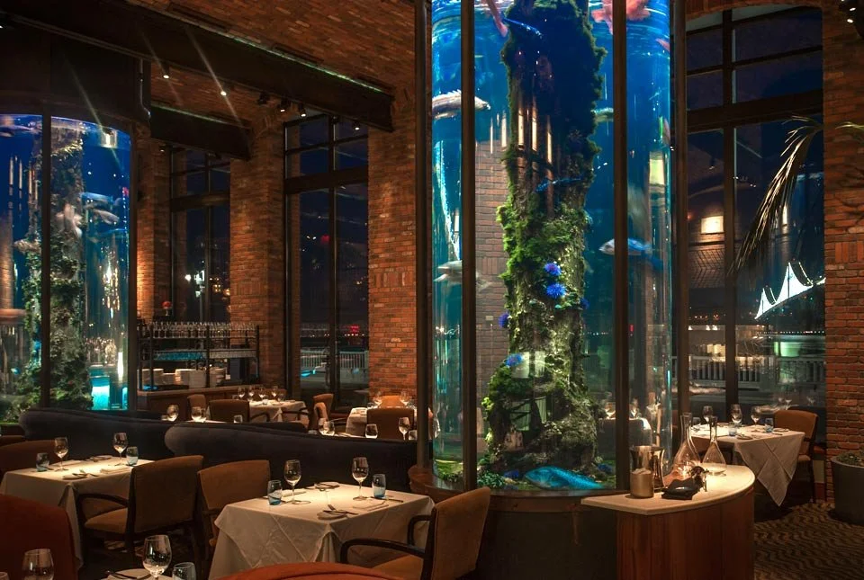 Waterbar | Discover Fine Seafood – Book Your Visit Today — SFPDV