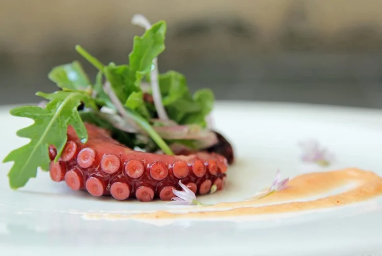 25 Lusk | Book Your Event Today — SFPDV
