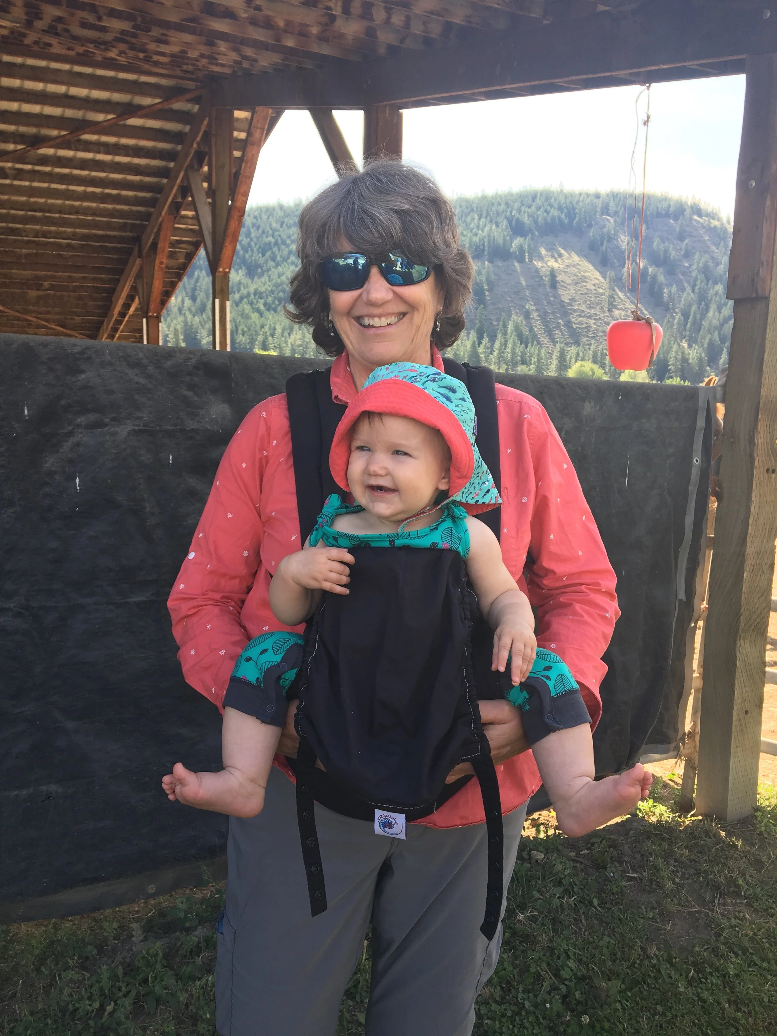 TEAM — Aero Methow Rescue Service