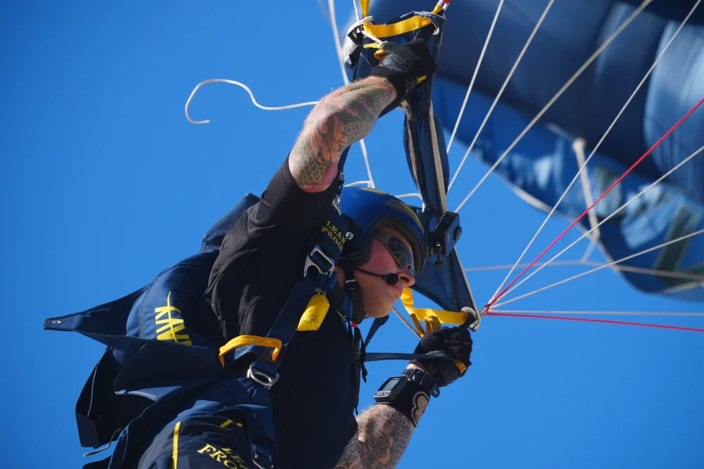 The Airshow — Pacific Airshow Gold Coast