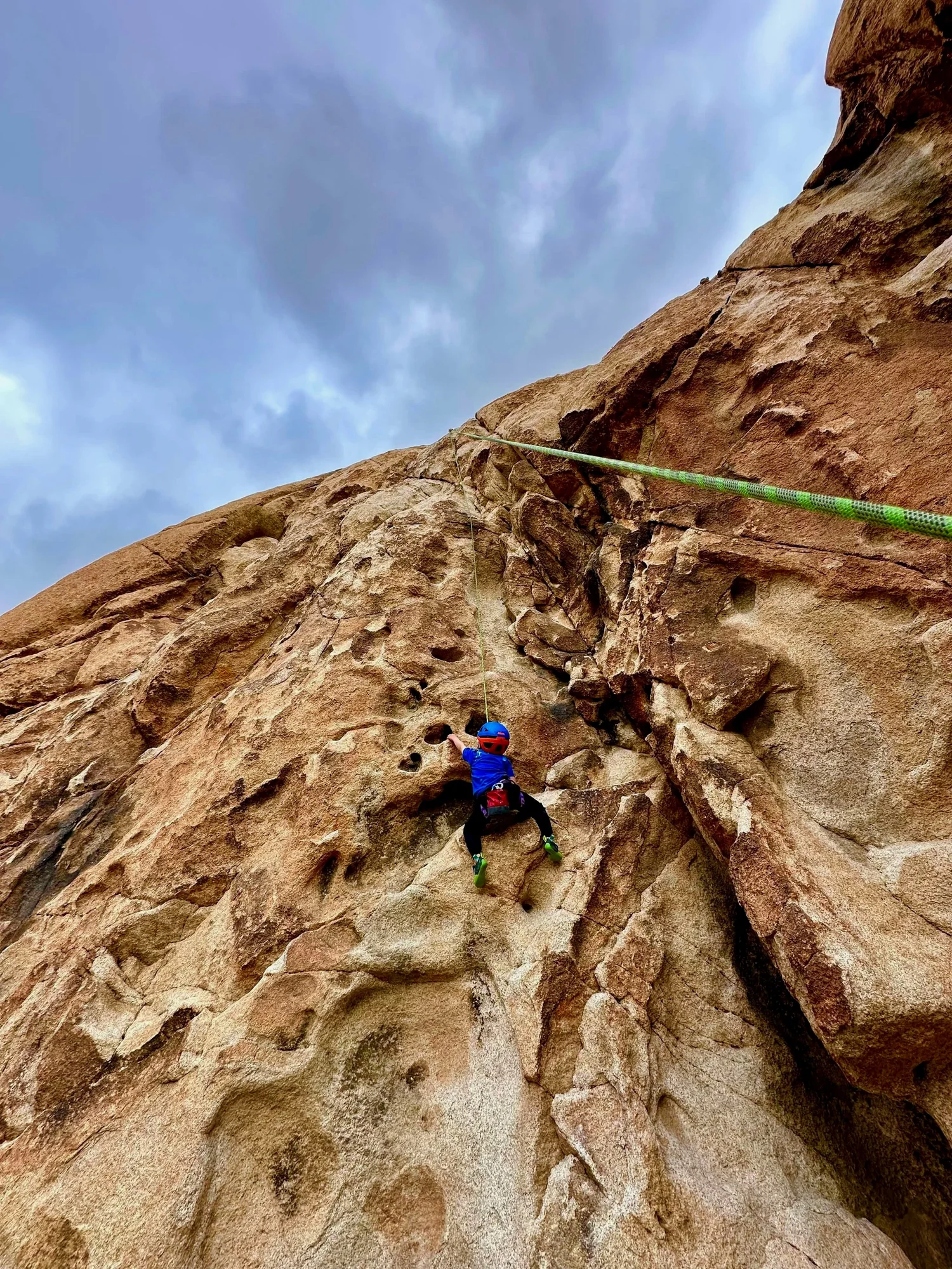 Rock Climbing for Kids in Joshua Tree | Summit Climbing Guides — Summit ...