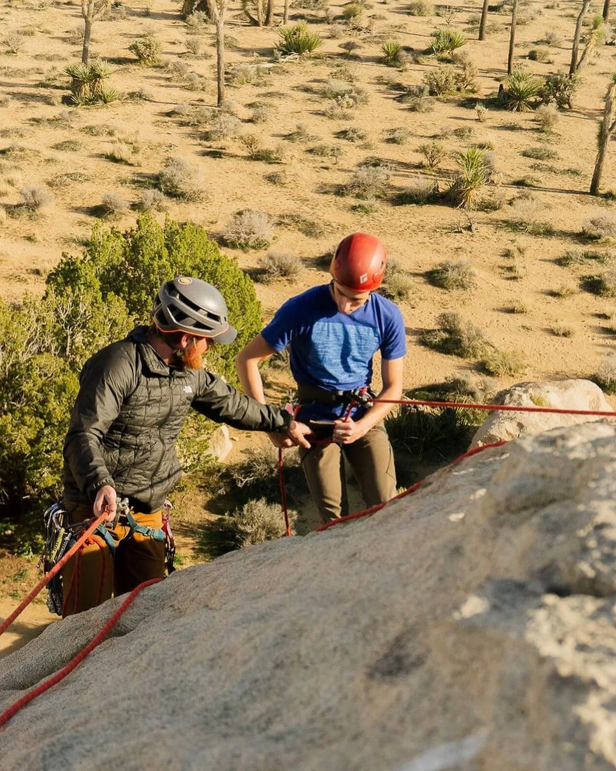 Anchor Building Course in Joshua Tree | Summit Climbing Guides — Summit ...