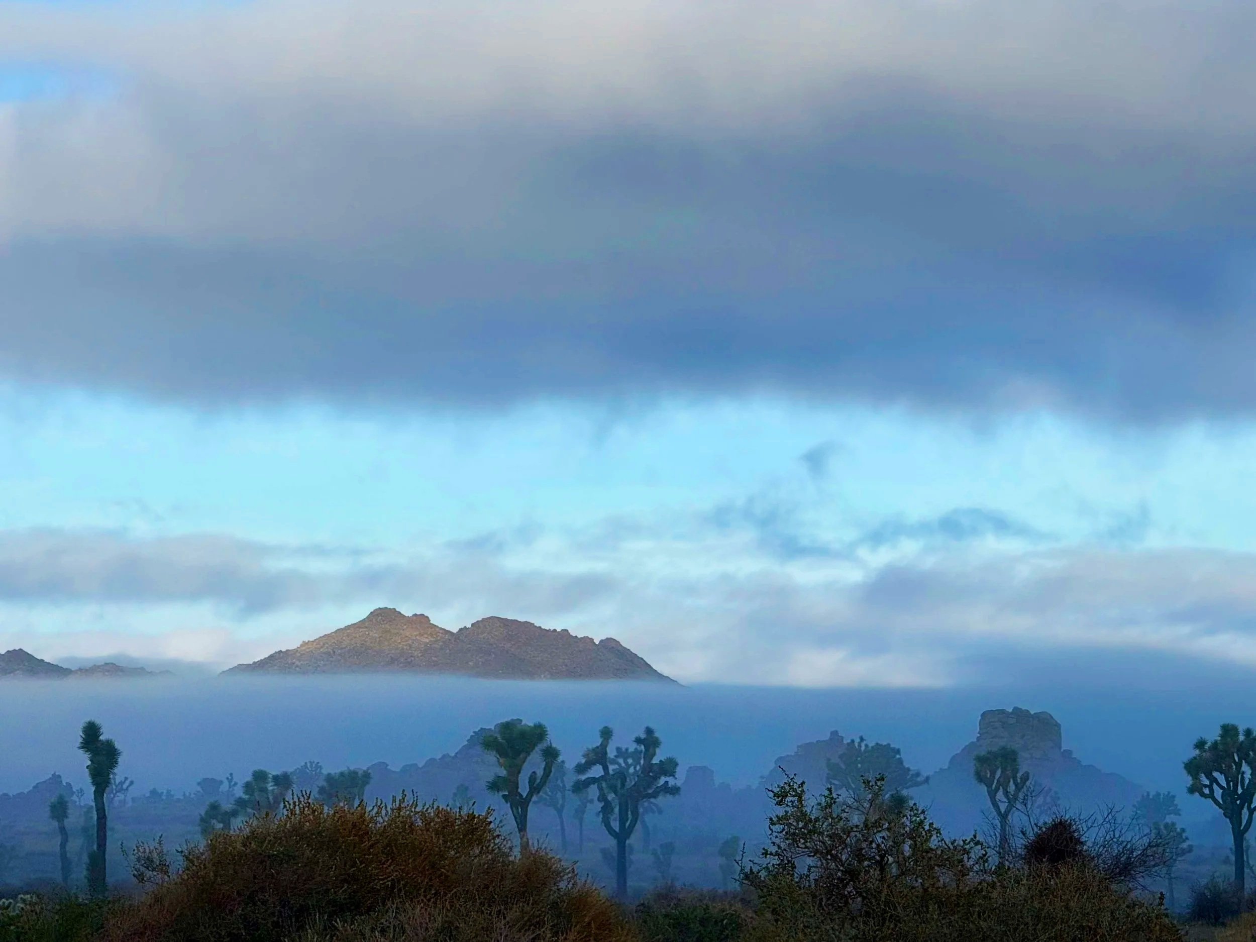 Rock Climbing vs Adventure Routes | Which Is Right in Joshua Tree ...