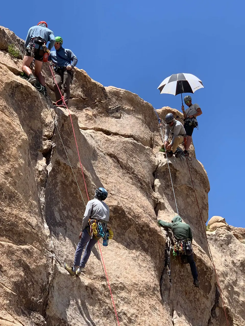 Master Rock Climbing Self-Rescue: Essential Courses for Every Climber ...