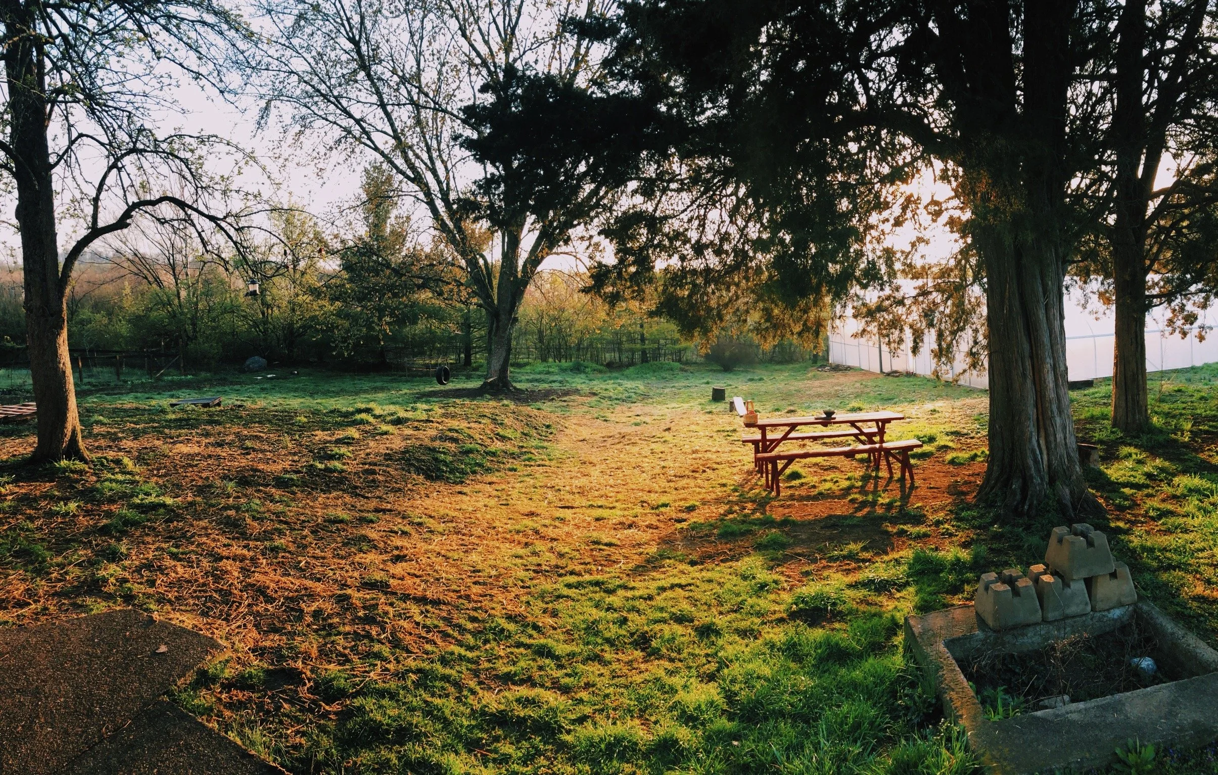 About — Rose Hill Farm