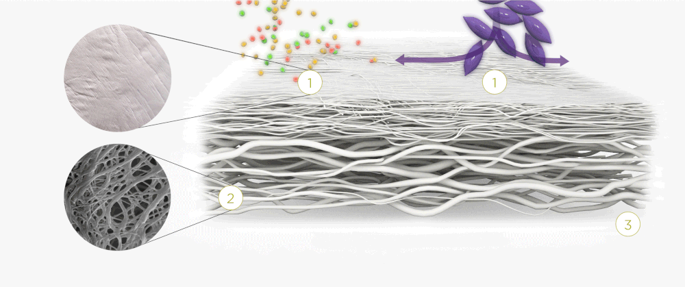Striate Biomaterials BioHorizons Camlog Implant