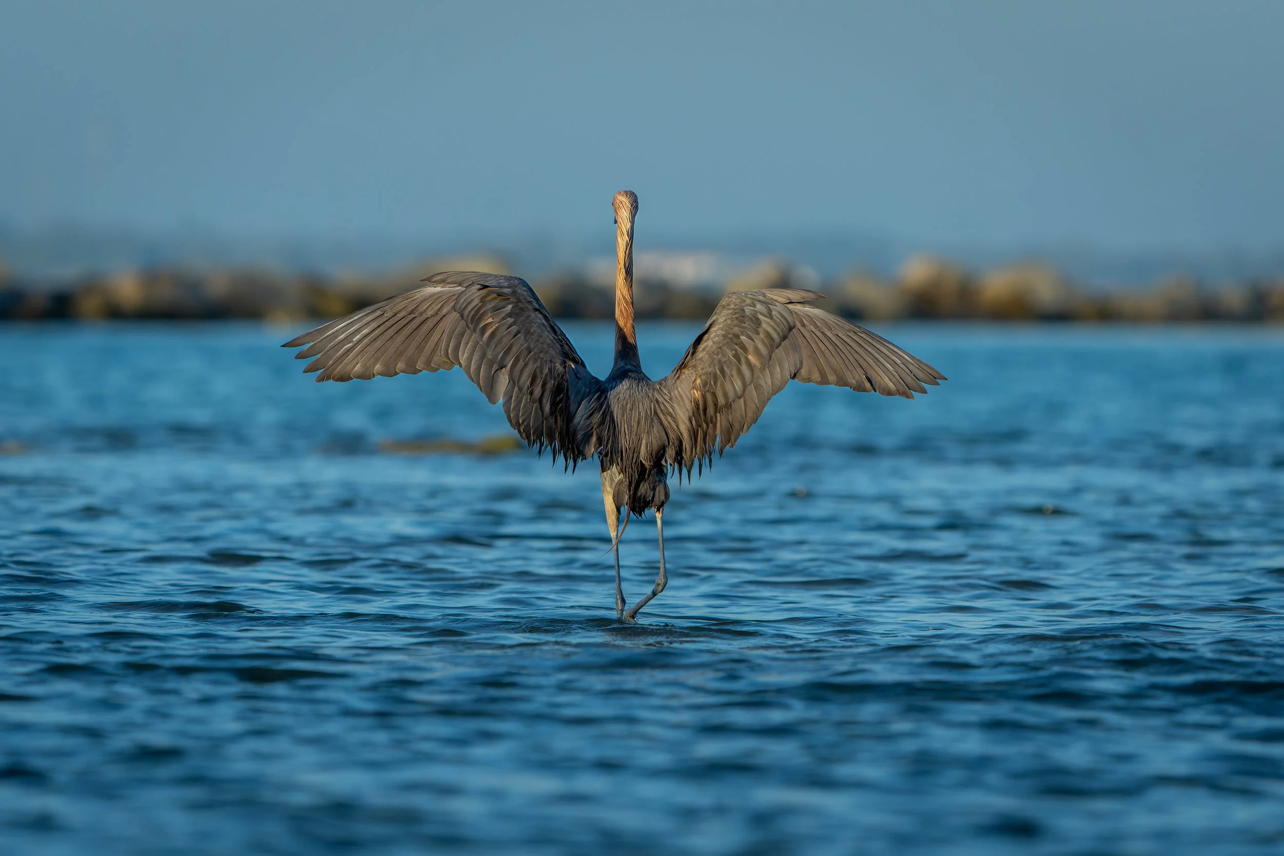 Brian Lail Photography