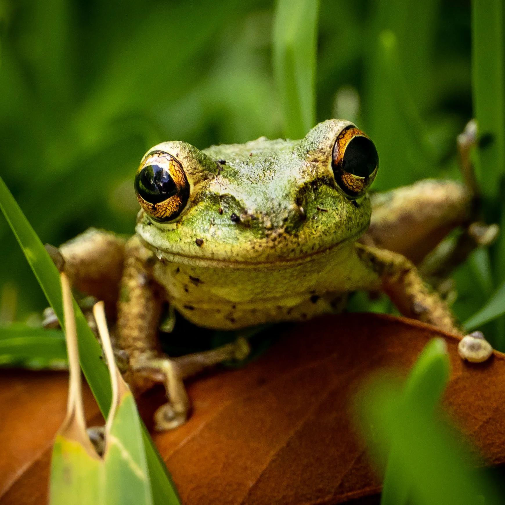 Brian Lail Photography