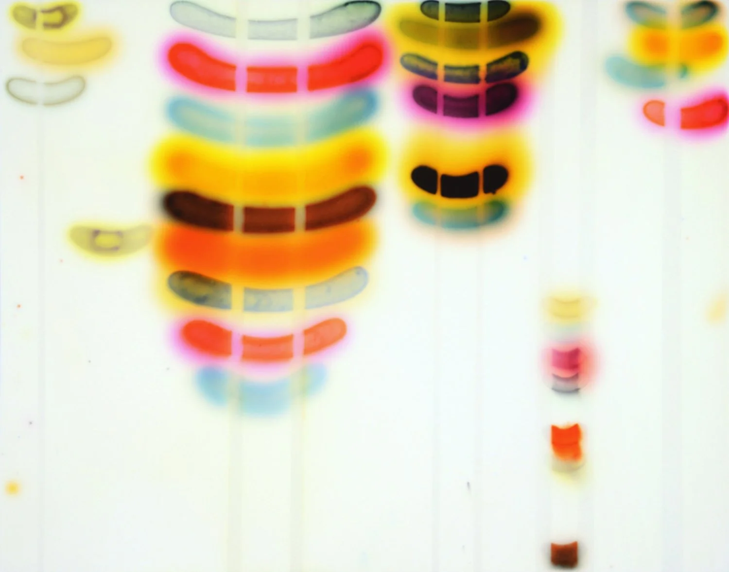 Jaq Chartier — J. Rinehart Gallery