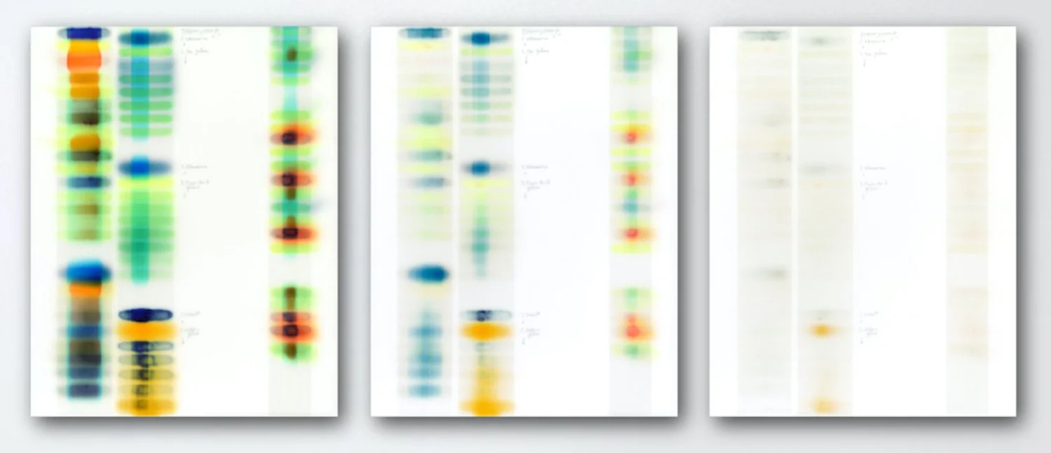 Jaq Chartier — J. Rinehart Gallery