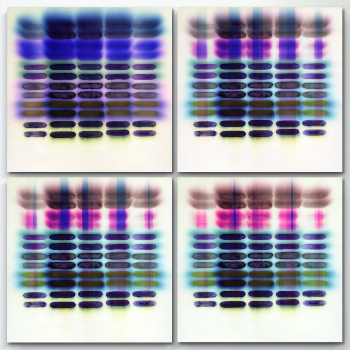 Jaq Chartier — J. Rinehart Gallery