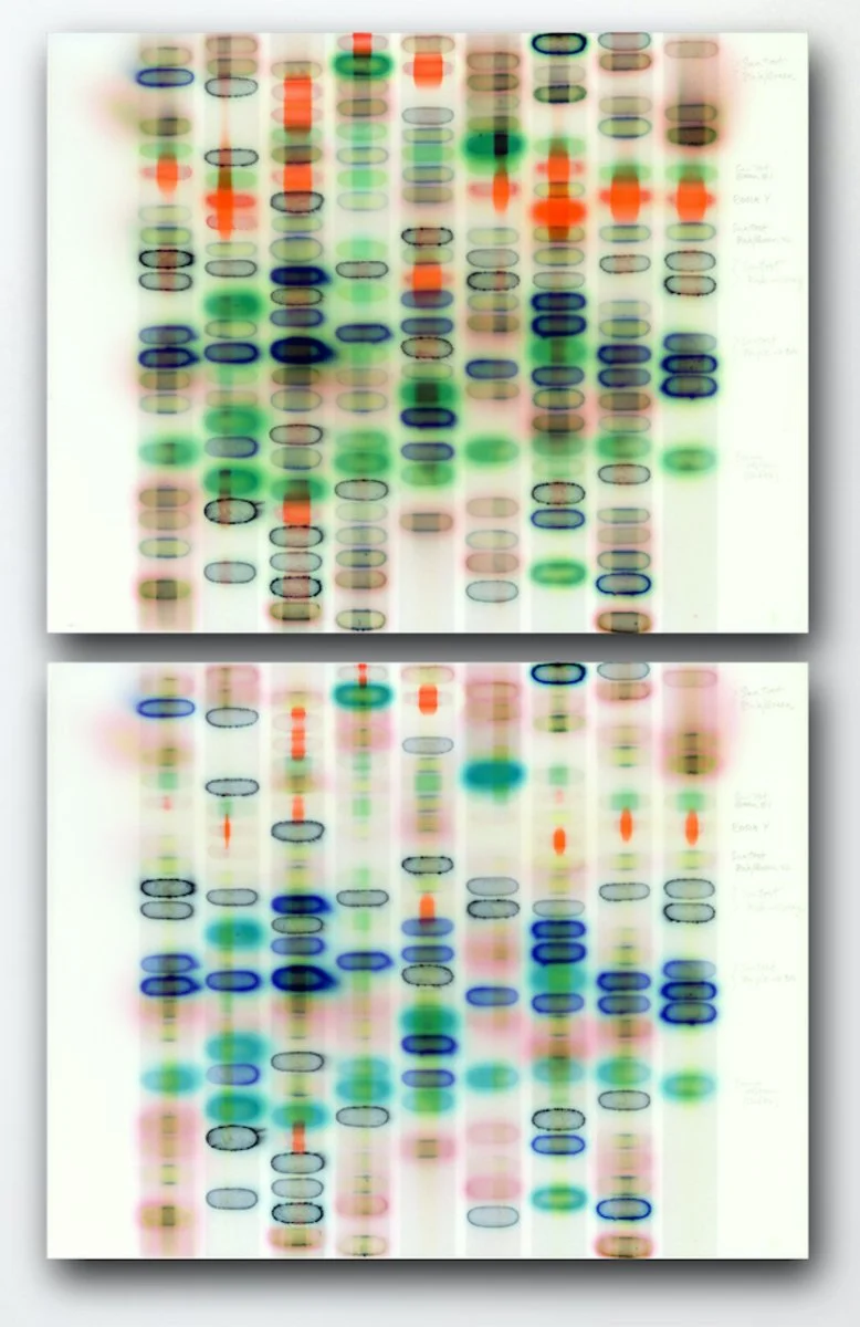 Jaq Chartier — J. Rinehart Gallery