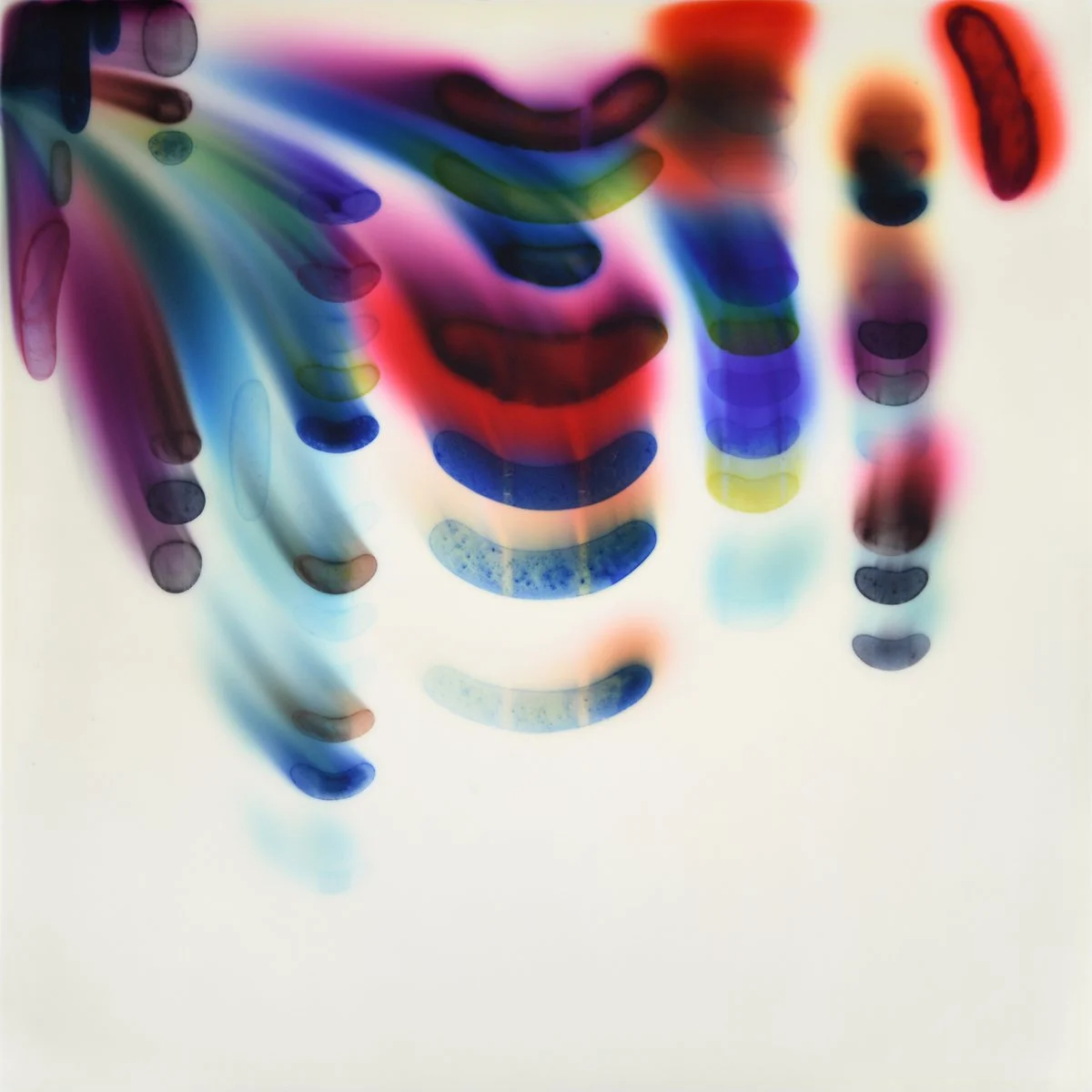 Jaq Chartier — J. Rinehart Gallery