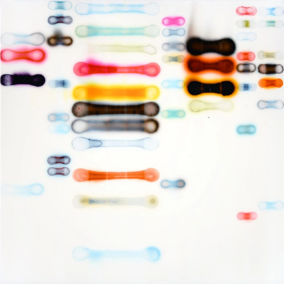 Jaq Chartier — J. Rinehart Gallery