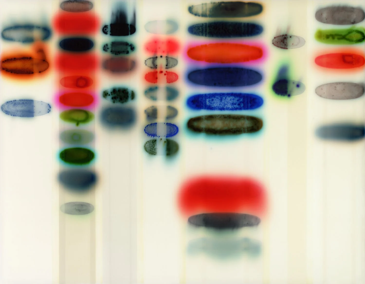 Jaq Chartier — J. Rinehart Gallery