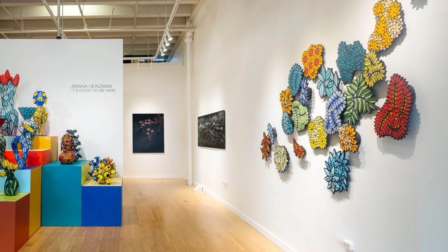 ARIANA HEINZMAN | IT'S GOOD TO BE HERE — J. Rinehart Gallery