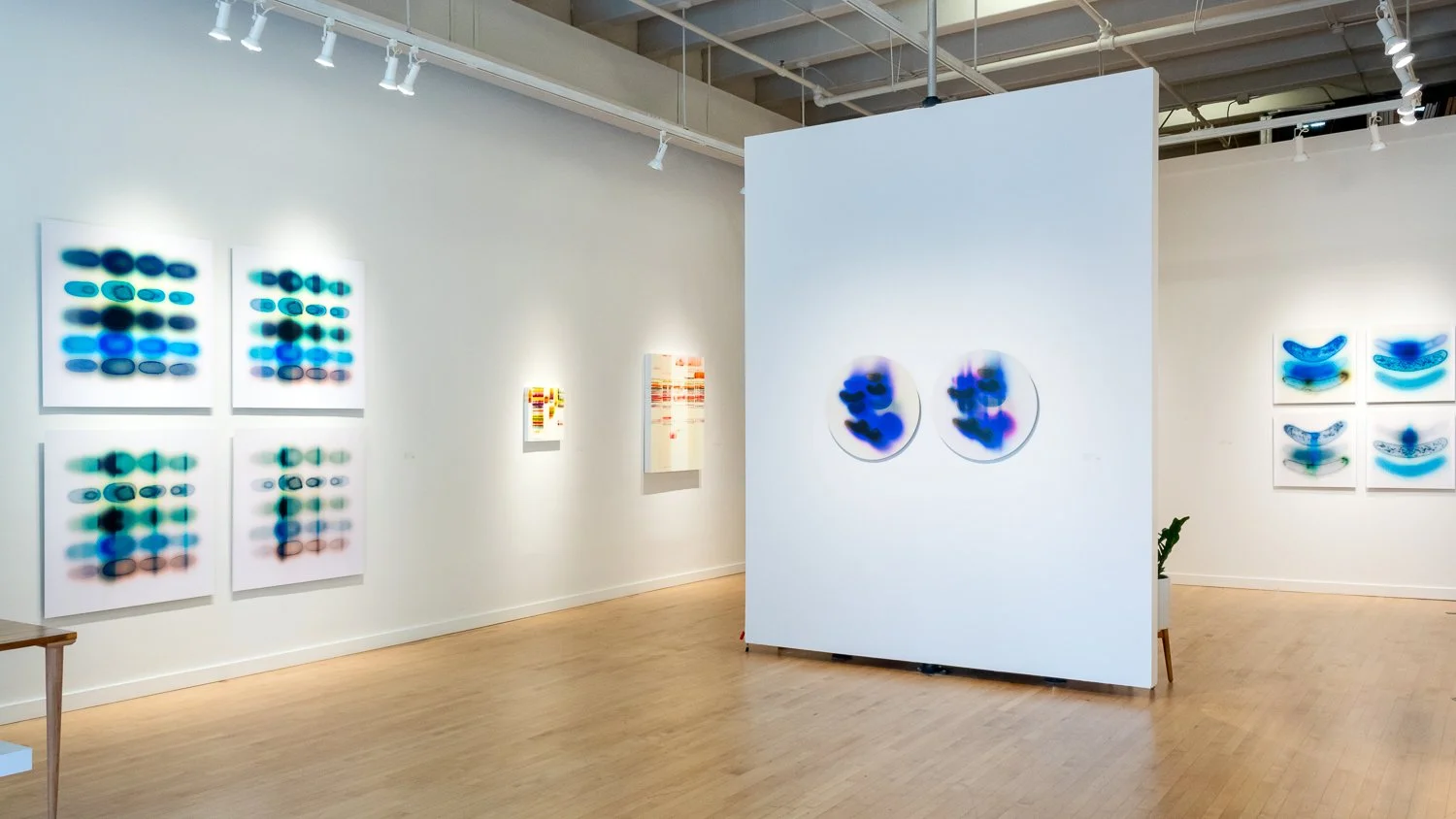 JAQ CHARTIER | REMAIN IN LIGHT — J. Rinehart Gallery