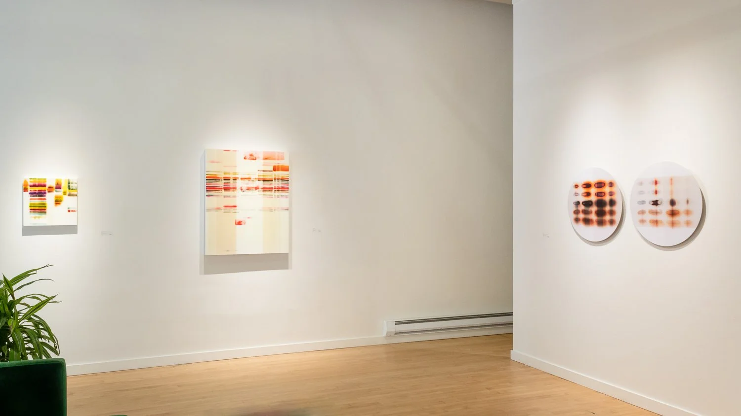 JAQ CHARTIER | REMAIN IN LIGHT — J. Rinehart Gallery