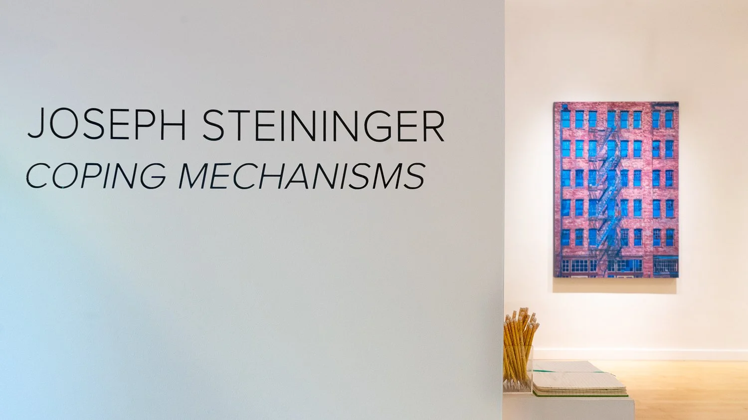 JOSEPH STEININGER | Coping Mechanisms — J. Rinehart Gallery