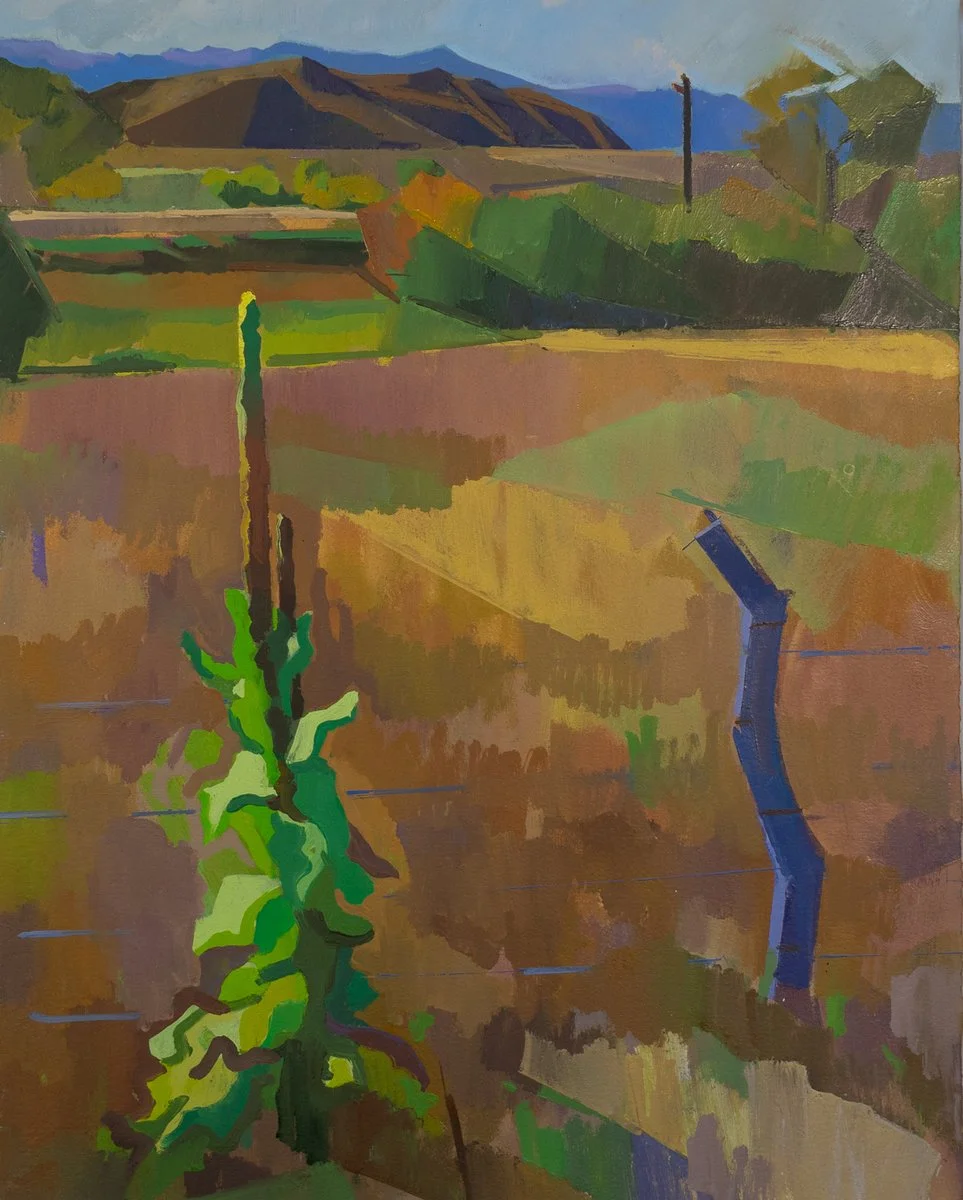 KIMBERLY TROWBRIDGE — J. Rinehart Gallery