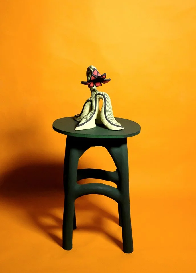 ARIANA HEINZMAN | Habitat for a Fake Plant — J. Rinehart Gallery