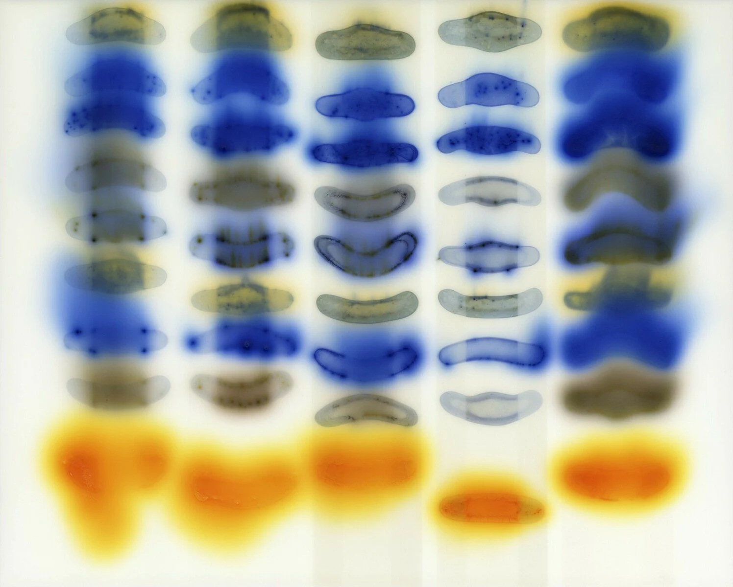 Jaq Chartier — J. Rinehart Gallery