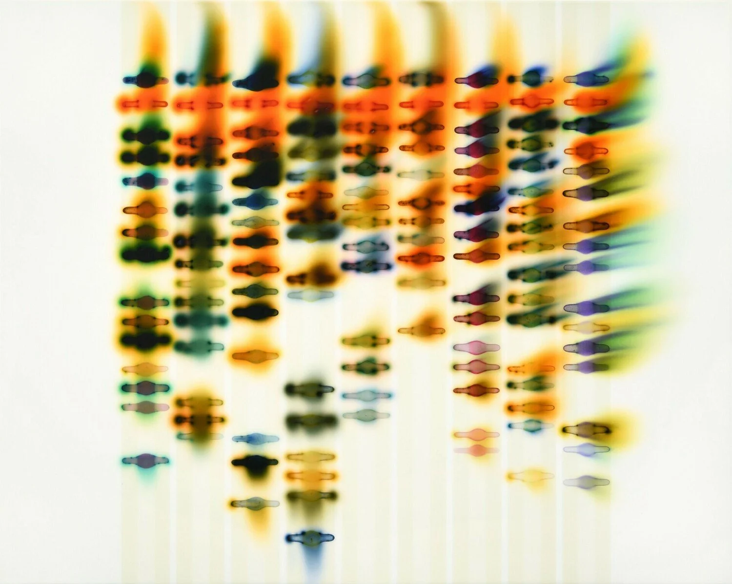 Jaq Chartier — J. Rinehart Gallery