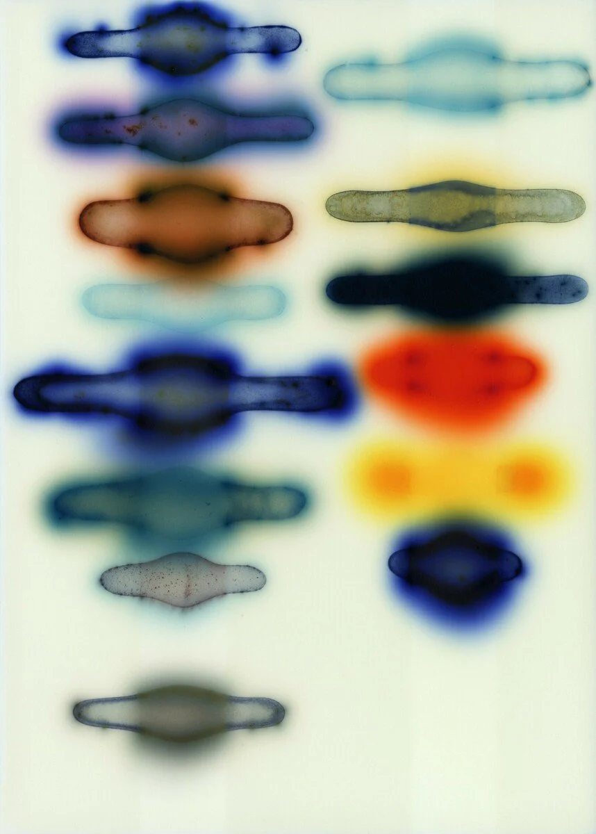 Jaq Chartier — J. Rinehart Gallery