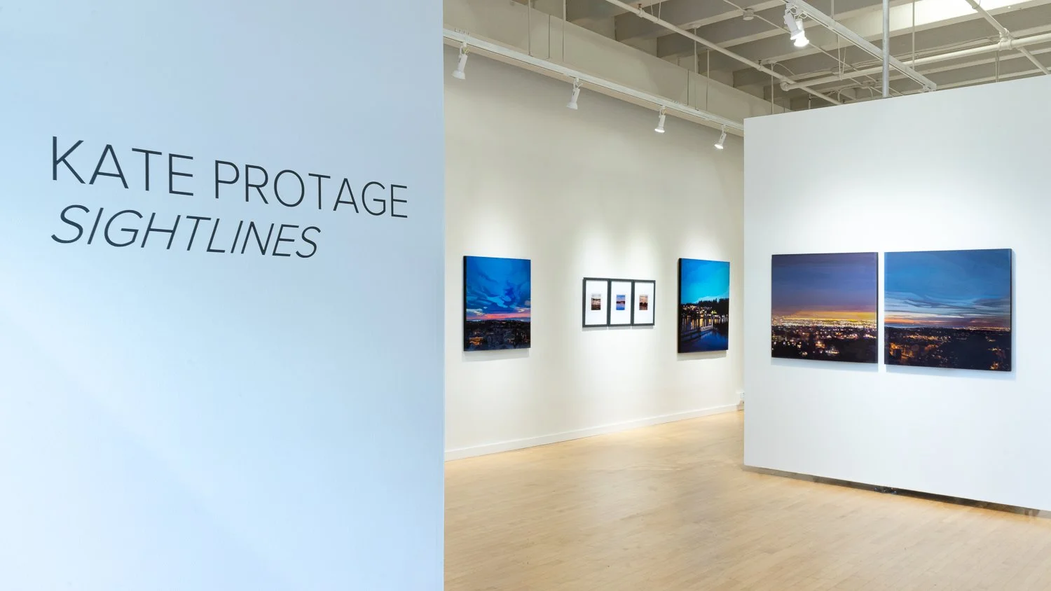 KATE PROTAGE | Sightlines — J. Rinehart Gallery