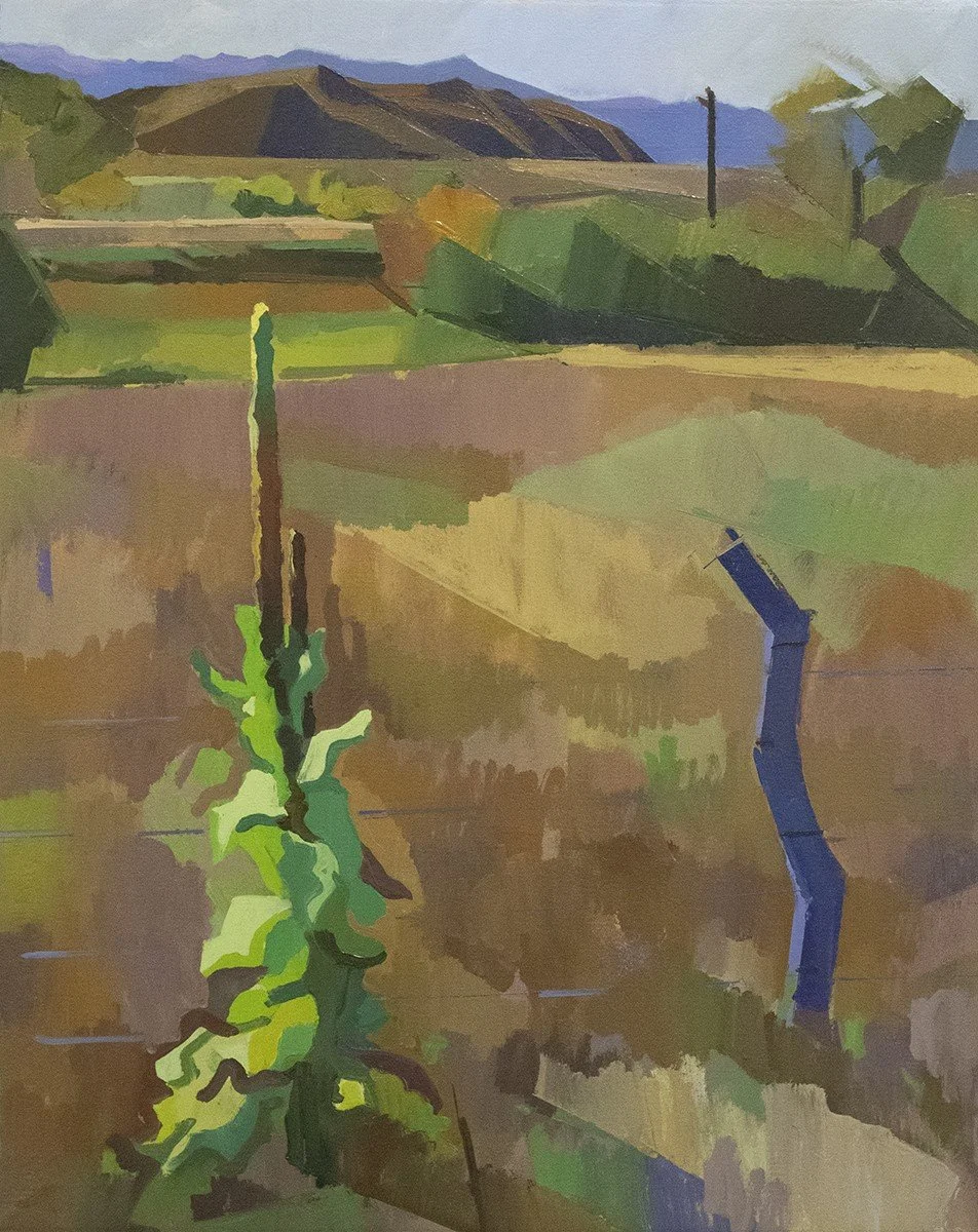 KIMBERLY TROWBRIDGE | Field and Figure, Preview Reception — J. Rinehart ...