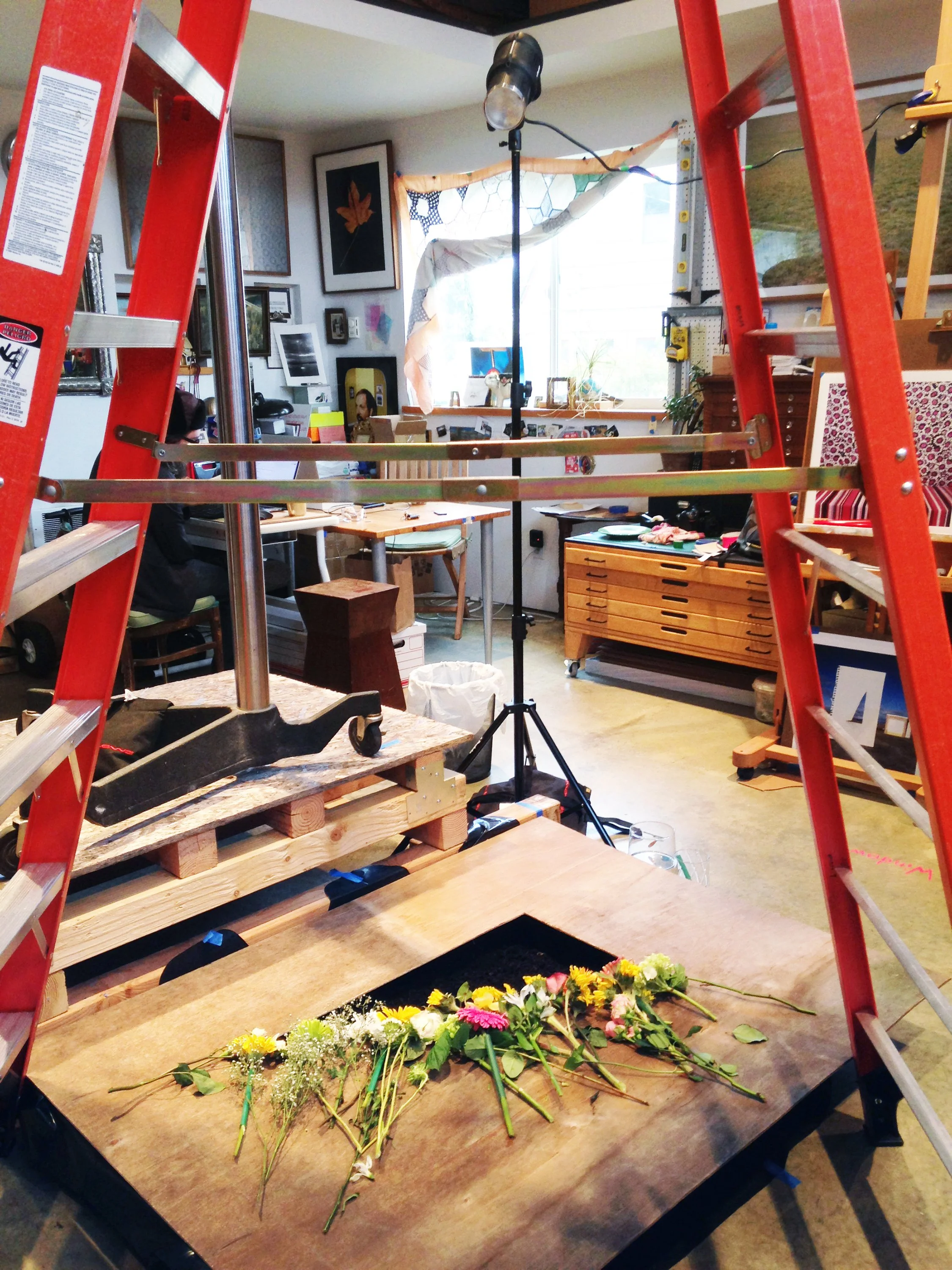 Jennifer Zwick — J. Rinehart Gallery