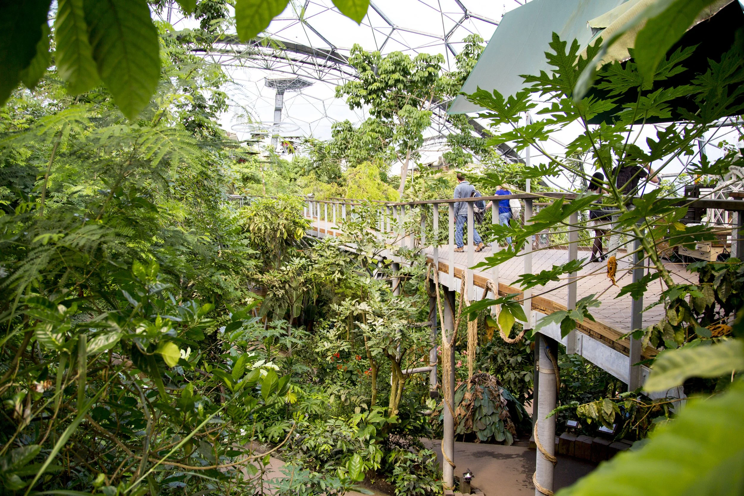 The Best Gardens to Visit in Cornwall — Cornish Coasts Holiday Park ...