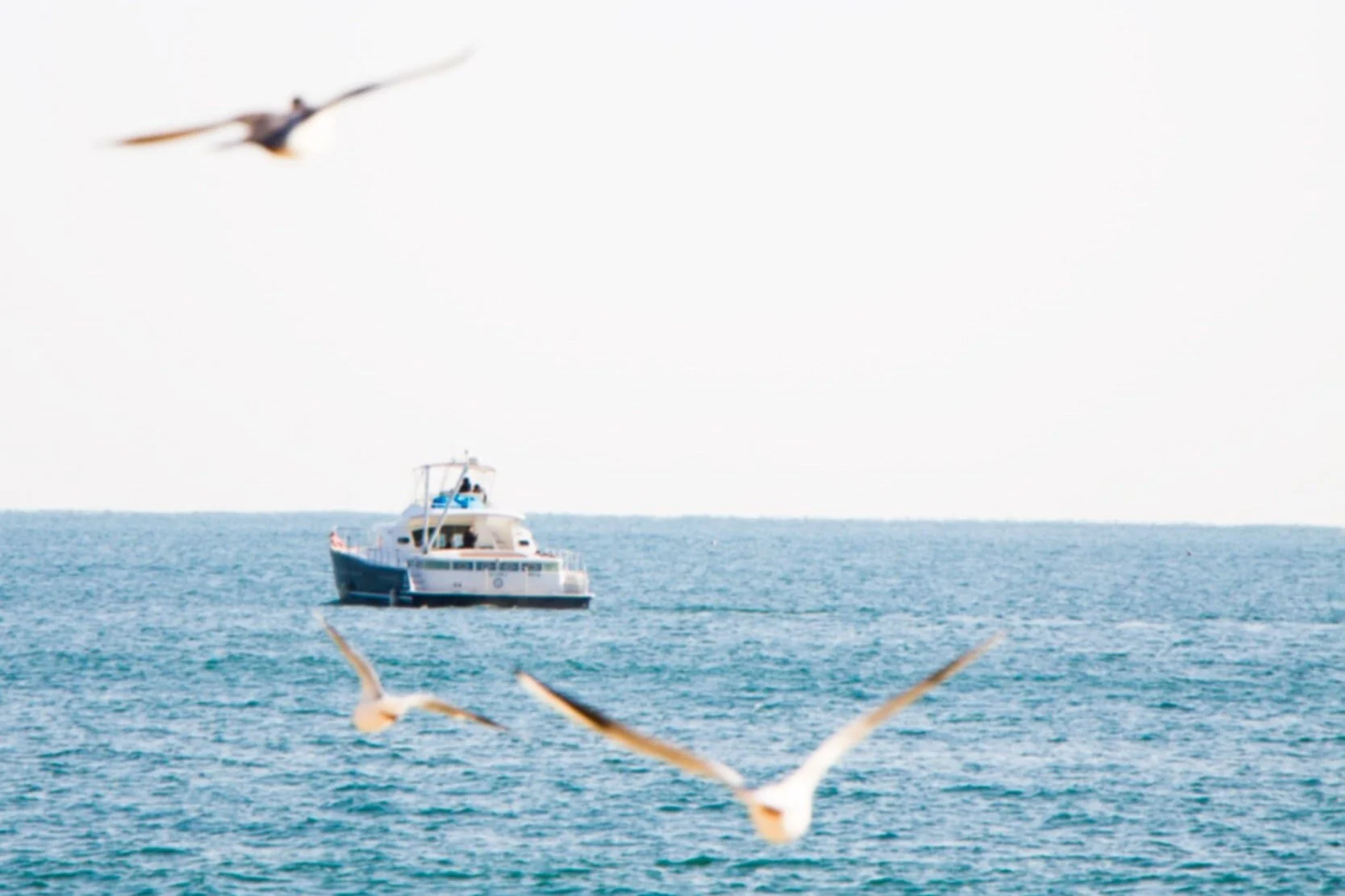 Where to see wildlife in Cornwall — Cornish Coasts Holiday Park ...