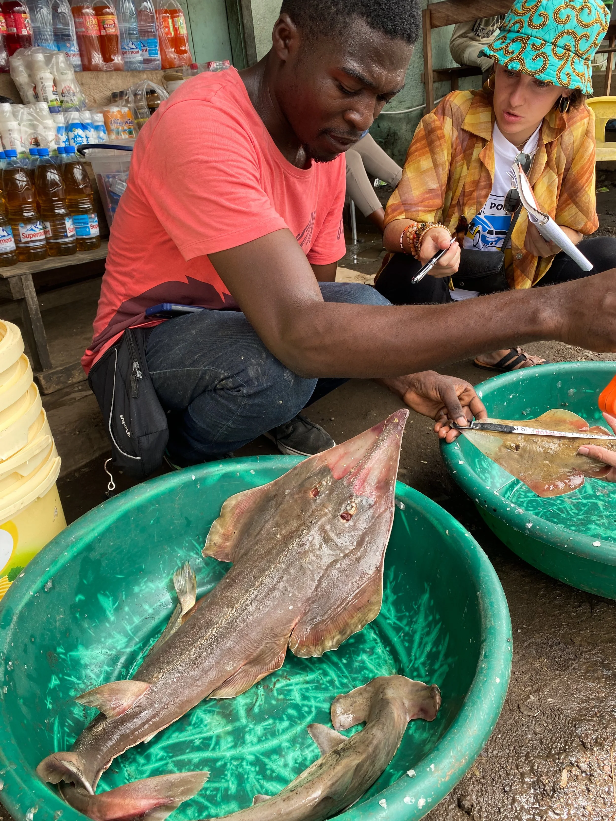 CONSERVATION | Simon Hilbourne