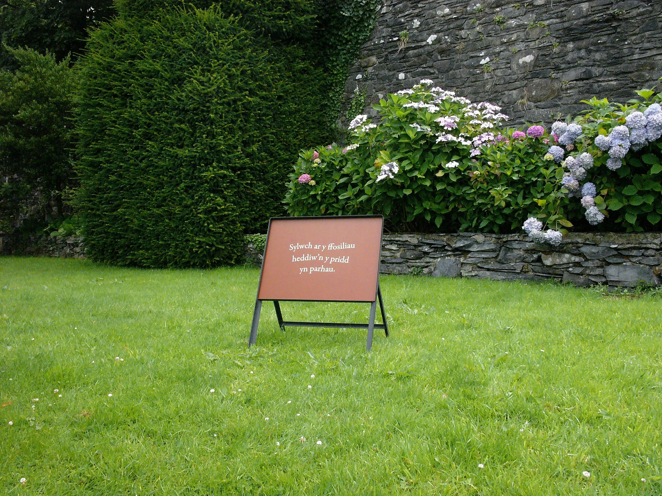 Meet Manon Awst — IKT International Association of Curators of ...