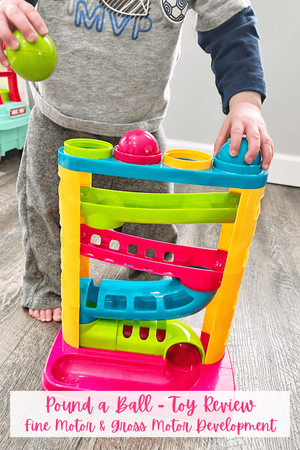 Pound a Ball Toy Review