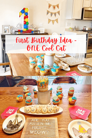 1st Birthday Theme - ONE Cool Cat