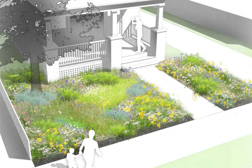 Native Wildflower Meadows - Vancouver, BC — Wild Spaces Land Care