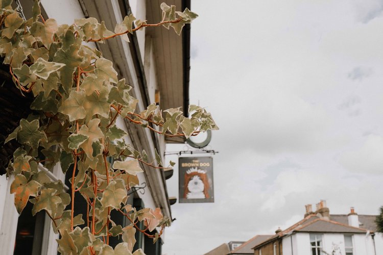 Contact Us — The Brown Dog, Barnes