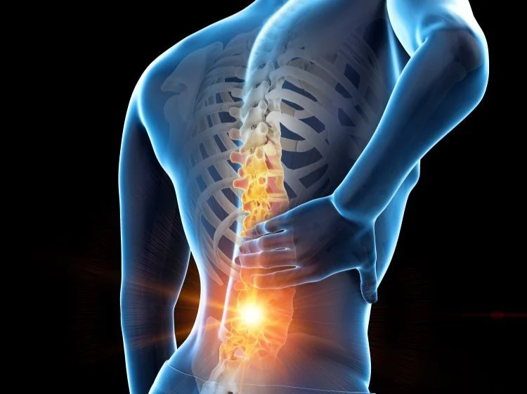 Back Pain or low back pain specifically Primary Body Works treats the ...