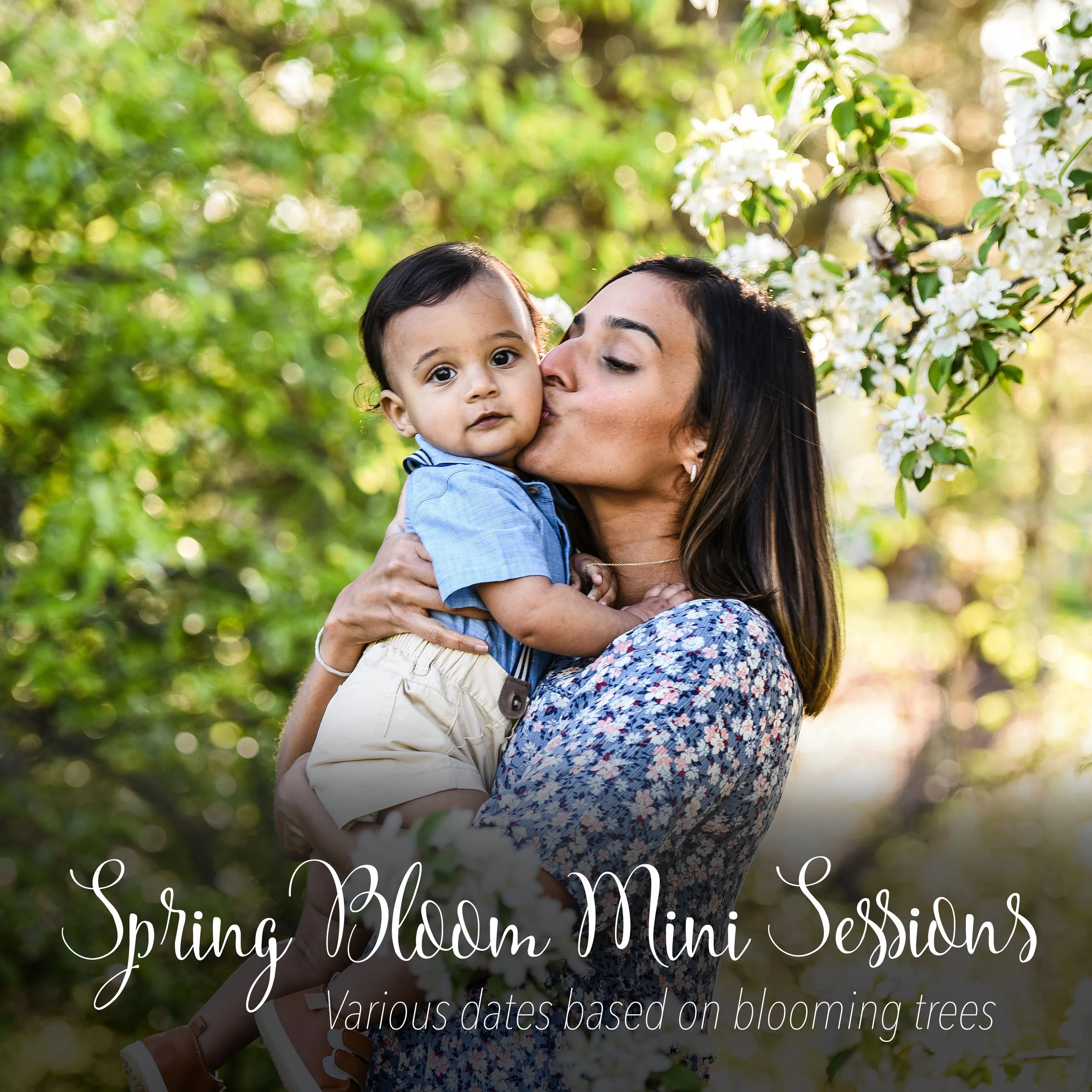 NAPERVILLE MINI SESSIONS | Lindsay Chan Photography