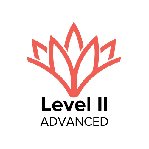 SARA™ by Ray Dass - Level II (with Advanced Math) — Ray Dass