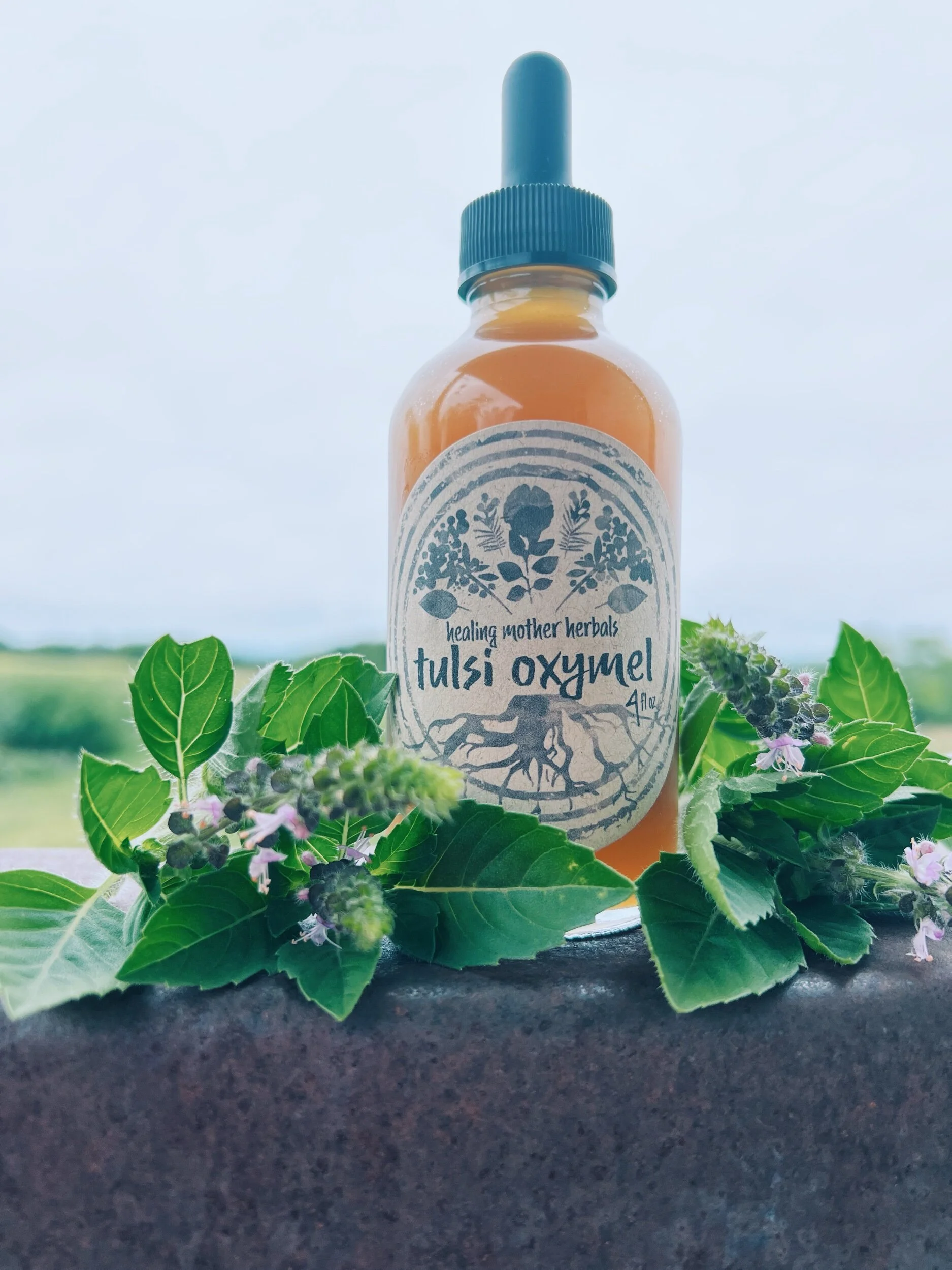 Dandy Detox Oxymel — Healing Mother Herbals