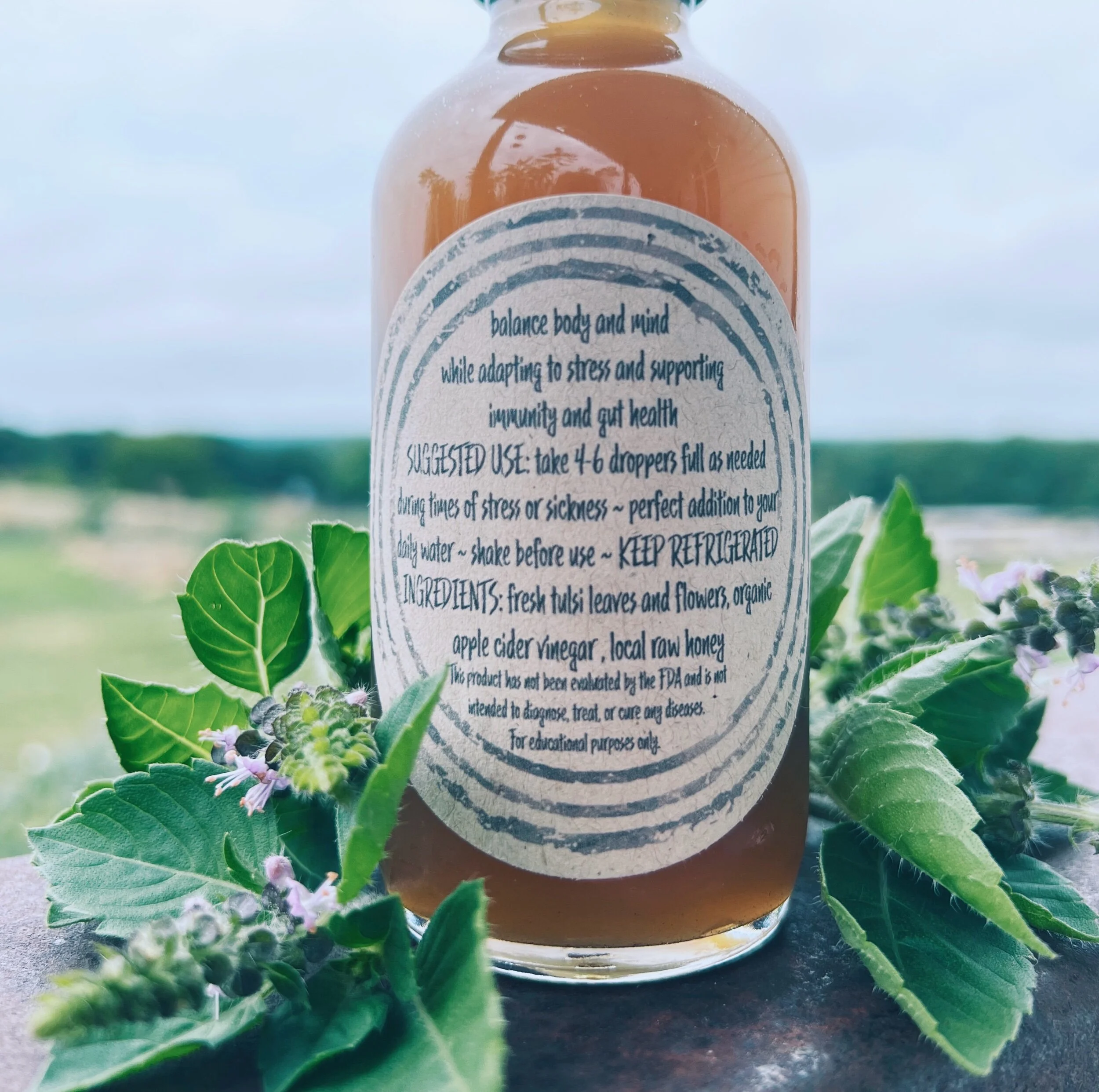 Dandy Detox Oxymel — Healing Mother Herbals