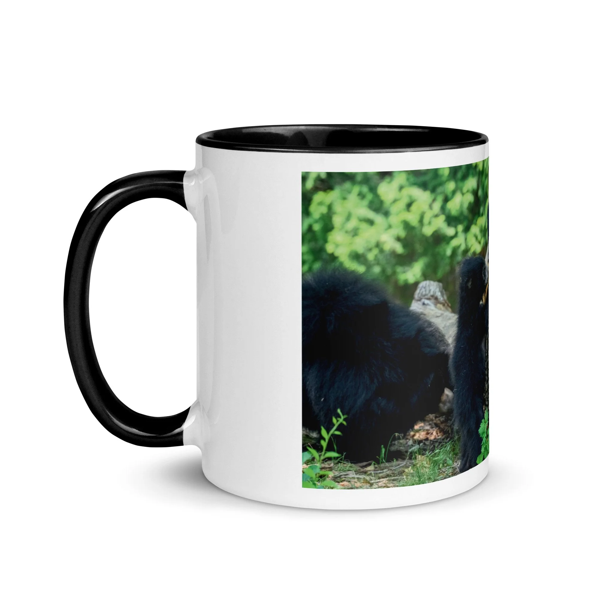 AAZK Shop — The Greater Philadelphia Chapter of the American ...